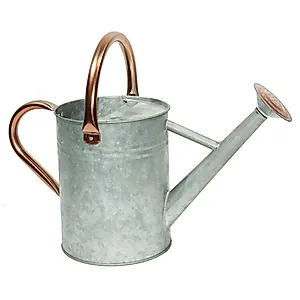 yourjoy Metal Watering Can, One Gallon Watering Cans Stainless Steel for Outdoor Indoor Garden Plants Watering (Zinc 1 Gallon)