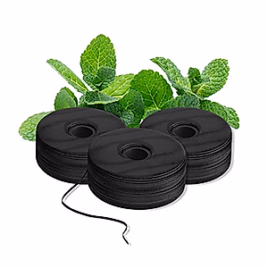 BURST Dental Floss, Expanding Refill Bobbins, Vegan, Charcoal Coated, Expanding Technology, Textured, Mint Eucalyptus, 3pk