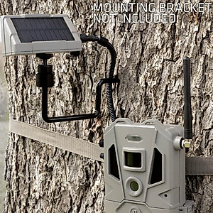 Bushnell CelluCORE 20 Solar Trail Camera, Low Glow Hunting Game Camera with Detachable Solar Panel with Bundle Options (Strap + SD Card)