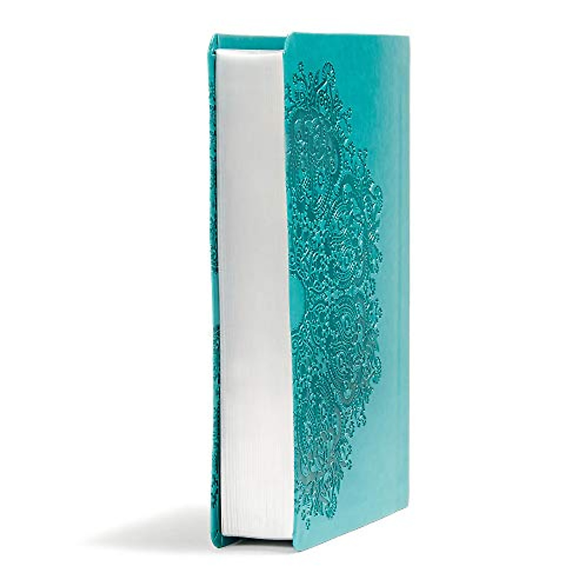 KJV Large Print Personal Size Reference Bible, Teal Leathertouch, Red Letter, Pure Cambridge Text, Presentation Page, Cross-References, Full-Color Maps, Easy-to-Read Bible MCM Type