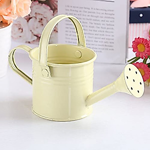 SMLJFO Watering Can for Indoor Outdoor Plants, Modern Style Watering Pot with Handle Sprinkler Head Iron House Garden Flower Long Spout Shower Pink 5.1in