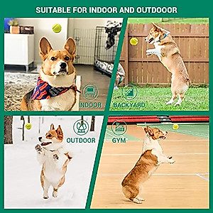 Greenvine Automatic Dog Ball Launcher Interactive Ball Thrower Fetch it Machine 6 Balls Included Premium