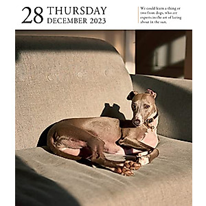 Dog Page-A-Day Gallery Calendar 2023: An Elegant Canine Celebration