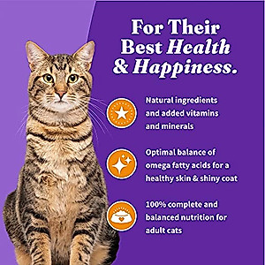 Halo Holistic Cat Food Dry, Cage-free Chicken Recipe, Complete Digestive Health, Dry Cat Food Bag, Adult Formula, 6-lb Bag