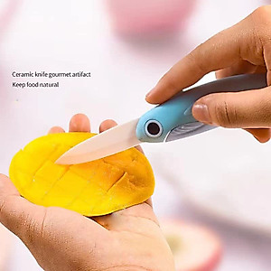 Folding knife, portable pocket ceramic knife for fruit, suitable for carrying super sharp mini fish shaped Ceramic Paring Knife when traveling (Blue)