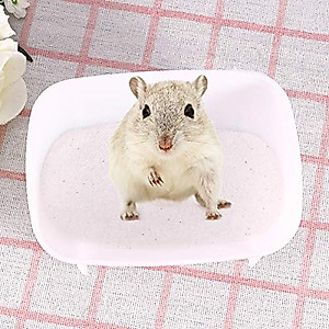 POPETPOP 2 Pcs Hamster Sand Bathroom Chinchilla Sand Bathroom Cleaning Tool Supplies Plastic Box for Hamster