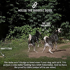 SÄKER Heavy Duty Tie Out Stake - Strongest Dog Anchor Holds 2 Large Dogs Over 180lbs | Premium Dog Stake for Peace of Mind in The Yard, Camping or at The Beach. Use Any Dog Tie Out or Dog Lead