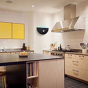 Faicuk WS108 Wall Sconce Fly Light Trap for Capturing Flies, Moths, Gnats, Mosquitos and Other Flying Insects - 13"x7.5"x5.5" (Black)