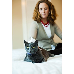 earthbath, Rosemary & Chamomile Tushy Wipes - Dog Wipes for Paws and Butt, Best Pet Wipes for Dogs & Cats, Made in USA, Cruelty-Free Dog Cleaning Wipes, Helps Neautralize Odors - 30 Count (1 Pack)