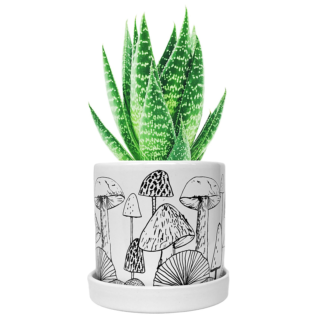 QGWJEKUI Mushroom Decor Planter Pot with Drainage Hole & Removable Draining Tray,Handmade Pots for Plants Flowers Indoor,Unique Ceramic Planter,Cute Succulent Pots,Aesthetic Modern Boho Gifts