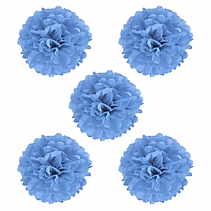 PATIKIL 8" Tissue Pom Poms Flowers, 5 Pack Paper Flower Ball for Wedding Bridal Shower Birthday Bachelorette Party Backdrop Decoration, Lake Blue