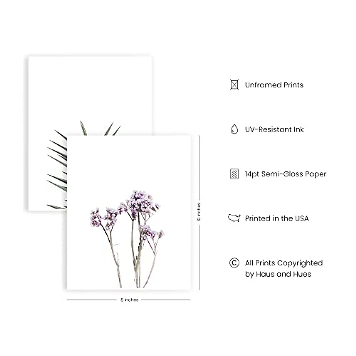 HAUS AND HUES Floral Prints and Plant Posters Set of 6 Botanical Prints Wall Art & Floral Wall Art, Wildflower Wall Art Plant Wall Art Minimalistic Wall Art Plant Set (8"x10", UNFRAMED)