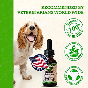 Animal Essentials Brain Awake for Dogs & Cats - Cognitive Support Supplement, Senior Support, Lion's Mane, Brain Health, Herbal Formula - 1 Fl Oz