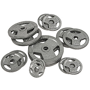 Sporzon! Powergainz Olympic 2-Inch Cast Iron Plate Weight Plate for Strength Training and Weightlifting, Gray POG-2INIP-45X2