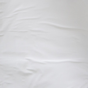 PCP Waterproof Zippered Mattress Cover, White, 36 X 80 inch