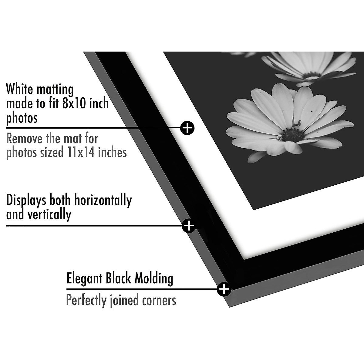 Americanflat 11x14 Picture Frame with Polished Plexiglass - Set of 2 - Use as 8x10 Frame with Mat or 11x14 Frame Without Mat - Galleria Collection - Gallery Wall Frame Set for Wall Display - Black
