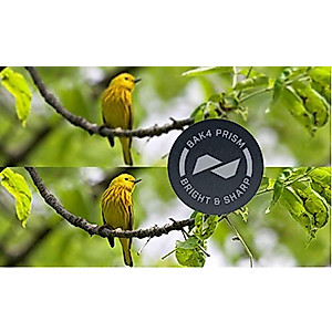 Bushnell 138005 H2O Waterproof/Fogproof Compact Roof Prism Binocular, 8 x 25-mm, Black