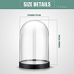 Zhengmy 12 Pcs Plastic Dome Display Case Cloche Bell Jar with Base Clear Decor for Collectibles Rose Office Home Tabletop CenterPc Decor, 5 x 3.3 Inch, Black