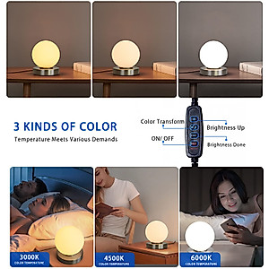 Small Table Lamp, LED Table Lamp with Eye-Caring Glass Lampshade Desk Lamp Dimmable 3 Color Changing, 10 Brightness Levels Reading Table Lamp Warm & White Nightstand Lamp with Memory Function