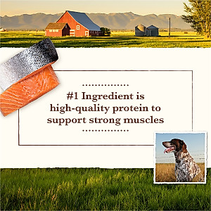 Whole Earth Farms Natural Grain Free Dry Kibble, Wholesome And Healthy Dog Food, Salmon And Whitefish Recipe - 25 LB Bag