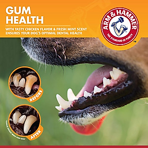 Arm & Hammer for Pets Clinical Care Dental Gum Health Kit for Dogs Contains Toothpaste, Toothbrush & Fingerbrush Soothes Inflamed Gums, 3-Piece Kit, Chicken Flavor - 2 Pack