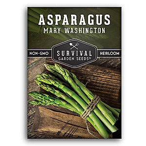 Survival Garden Seeds - Mary Washington Asparagus Seed for Planting - Packet with Instructions to Plant and Grow Long Lasting Perennials in Your Home Vegetable Garden - Non-GMO Heirloom Variety