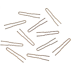 AIEX 200 Pieces U-Shaped Hairpins Kit Hair Clips Hairpins Hair Clips for Women Girls and Hair Salon (Bronze)