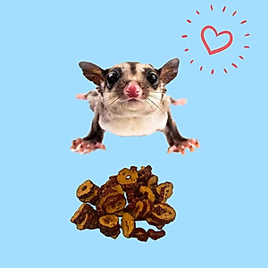 PETIVORE Premium Dried Jujubes for Sugar Glider and Small Exotic Pet - Happy Treats, Snacks and Food (20g)