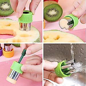 Mini Cookie Cutter Set 30 pcs for Kids Vegetable Cutters and Fruit Stamp Mold Different Shapes and Sizes Stainless Steel