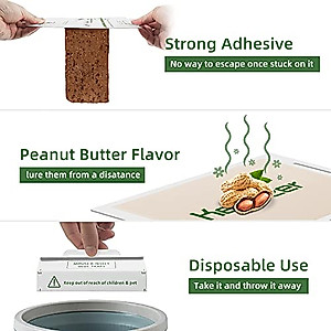 Kensizer 50-Pack Mouse & Insect Glue Traps Trampas para Ratones Pest Trap with Peanut Flavor Catching Mice, Millipedes, Scorpions, and Other Insects Indoor