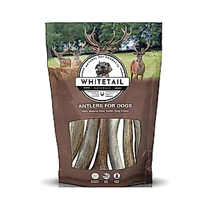 WhiteTail Naturals - Sun Aged Deer Antler Dog Chews (3 Pack Small) Economy Grade Natural Dog Bone Chews -