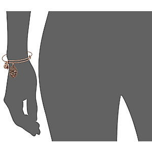 Alex and Ani Because I love you, Mom II Expandable Rafaelian Rose Gold Finish Bangle Bracelet