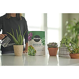 Miracle-Gro Succulent Potting Mix: Fertilized Soil with Premium Nutrition for Indoor Cactus Plants, Aloe Vera and More, 4 qt.