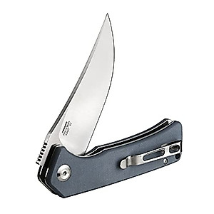 Firebird GANZO FH923-GY Folding Pocket Knife Razor Sharp D2 Steel Blade Ergonomic G10 Anti-Slip Handle with Clip Camping Hunting Fishing Gear Outdoor Folder EDC Pocket Knife (Grey)