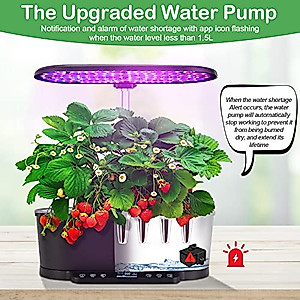WiFi Smart Garden with 15 Pods,Hydroponic Growing System with Alert and App,Indoor Herb Garden with 30.31 Inches Adjustable Height,Automatic Cycle Timer,Hydroponic Herb Garden Kit for Family Kitchen