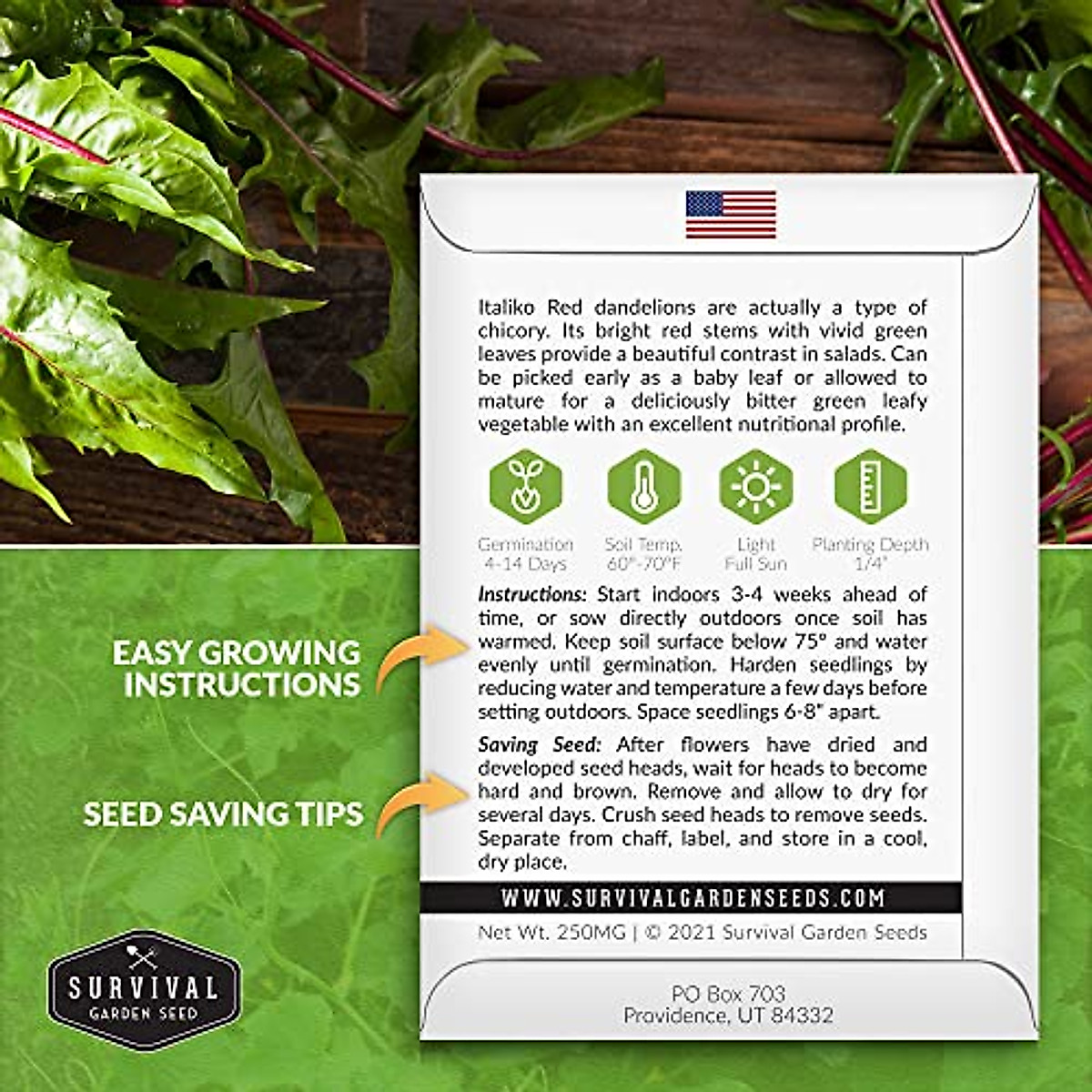 Survival Garden Seeds - Italiko Red Dandelion Seed for Planting - Packet with Instructions to Plant and Grow Nutritious Italian Chicory Greens in Your Home Vegetable Garden - Non-GMO Heirloom Variety