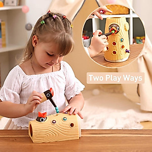 TOP BRIGHT Montessori Toys for 2 Year Old Girl and Boy Gifts, Fine Motor Skills Toddler Toys Age 2-4, Woodpecker Worm Toy Magnetic Bird Feeding Game