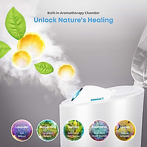 NanoSteamer PRO Professional 4-in-1 Nano Ionic Facial Steamer for Spas - 30 Min Steam Time - Humidifier - Unclogs Pores - Blackheads - Spa Quality - 5 Piece Stainless Steel Skin Kit Included