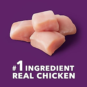 IAMS Advanced Health Mobility Support Chicken and Whole Grain Recipe Adult Dry Dog Food, 6 lb. Bag