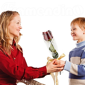 Framendino, 100 Pack Single Rose Clear Bags Flower Packaging Bag Floral Bouquet Wrapping Paper for Birthday Gift Valentines Day