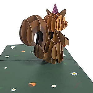 Sleazy Greetings Squirrel Pop Up Birthday Card | Funny Birthday Card for Men Women | Squirrel 3D Greeting Cards 5x7 Inch