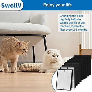 SwellV 3000 Filter Replacement Compatible with 3000, 3000M, 3000 Pro, Includes 2 Filters, 2 Activated Carbon and 6 Extra Carbon Pre-Filters (2+2+6)