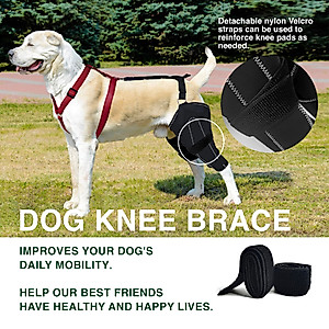 KISFLY Dog Knee Brace for Torn ACL Hind Leg Luxating Patella Dysplasia Arthritis Joint Pain Dog Leg Brace with Metal Hinged Support for Better Recovery Both Leg M