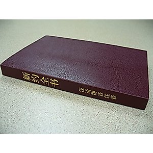 Pinyin New Testament Bible in Simplified Chinese. 拼音新约圣经 (简). 拼音新約聖經 (簡)