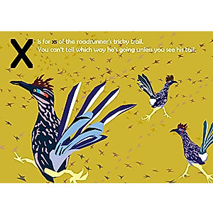 T is for Texas (Alphabet Places)