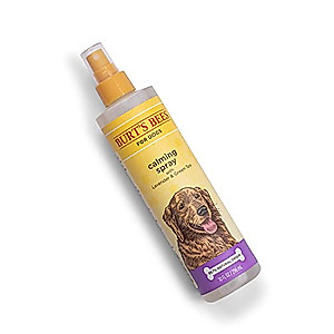 Burt's Bees for Pets Calming Spray with Lavender and Green Tea, Naturally Derived Dog Spray for All Dogs to Calm and Soothe, 10 Fl Oz Dog Spray - Made in the USA