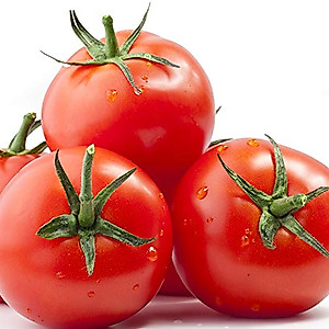 Jobe’s Fertilizer 06000, Spikes, For All Tomato Plants, 18 Spikes