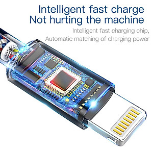 Ambrane iPhone Charger Cable,3FT MFi Certified Charging USB Syncing Data Nylon Braided Cord Compatible with iPhone 13/11/12 Xs/Max/XR/X/8/8 Plus/7/7 Plus/6/6S/6 Plus/5S/SE/Mini/Air/Pro (1M)