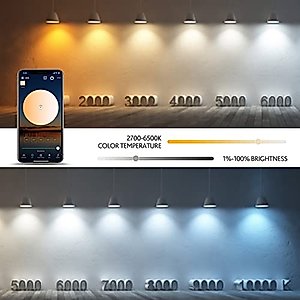 TFOI Smart Light Bulbs A19 E27 RGB Light Bulb WiFi Light Bulb Color Changing LED Lights or DIY Scene Setting Smart Bulb Compatible Alexa/Google Home Smart Light Bulb 80% Energy Saving（9w 2pack）