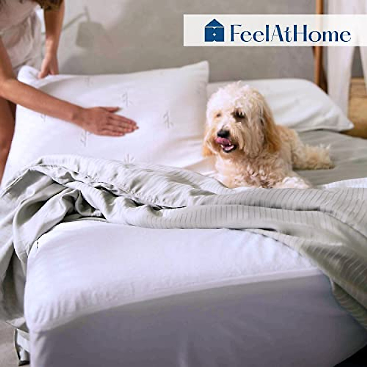 FeelAtHome Fitted 100% Waterproof Mattress Cover (Full XL Size) - Breathable Super Soft & Noiseless Cotton Terry Fabric Matress Fitted Cover White